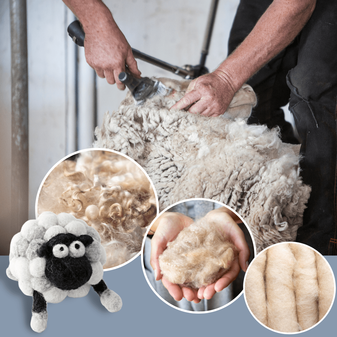 6 Processes for Harm-Free Wool Transformation – Woolbuddy