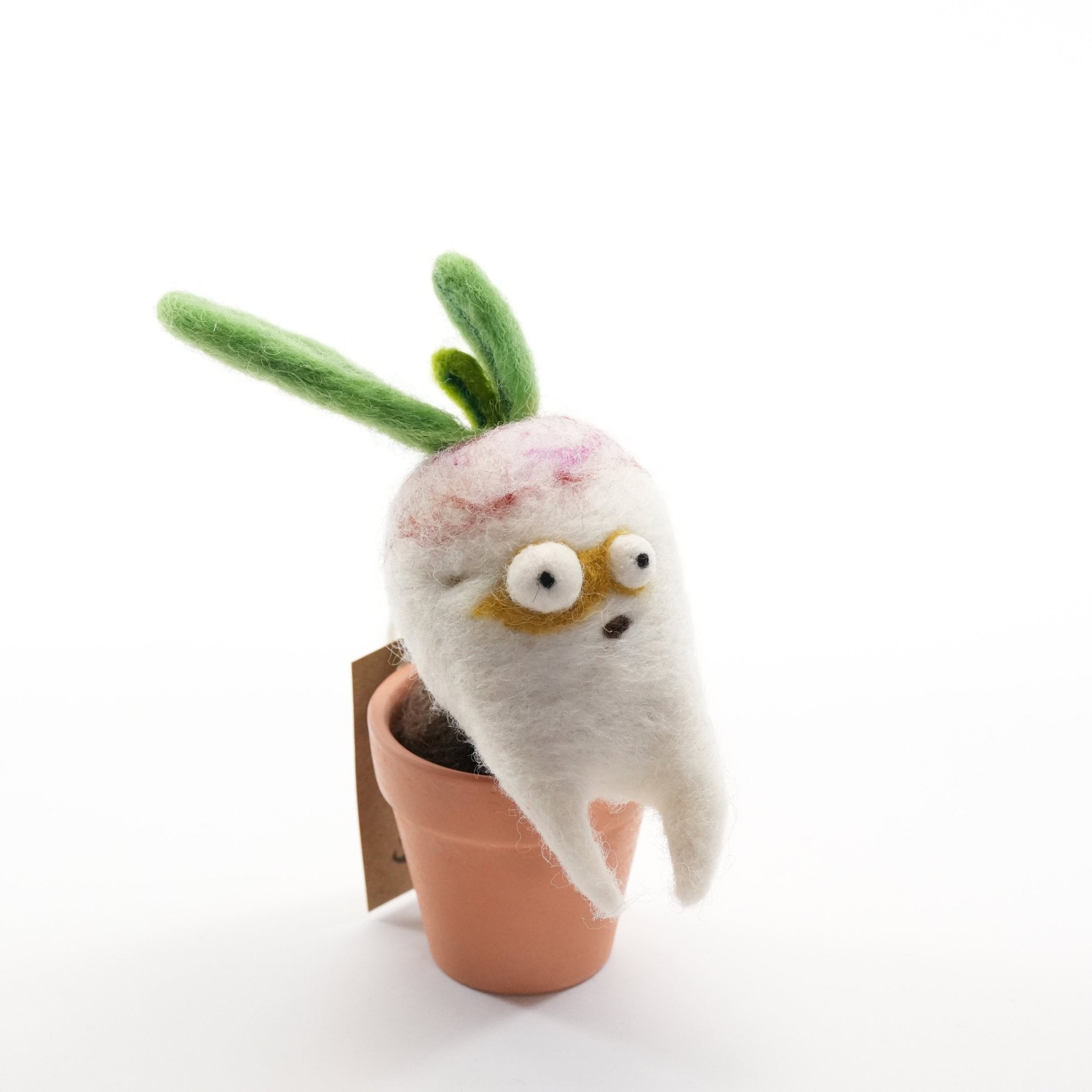 Radish Monster Plant with Clay Pot – Woolbuddy